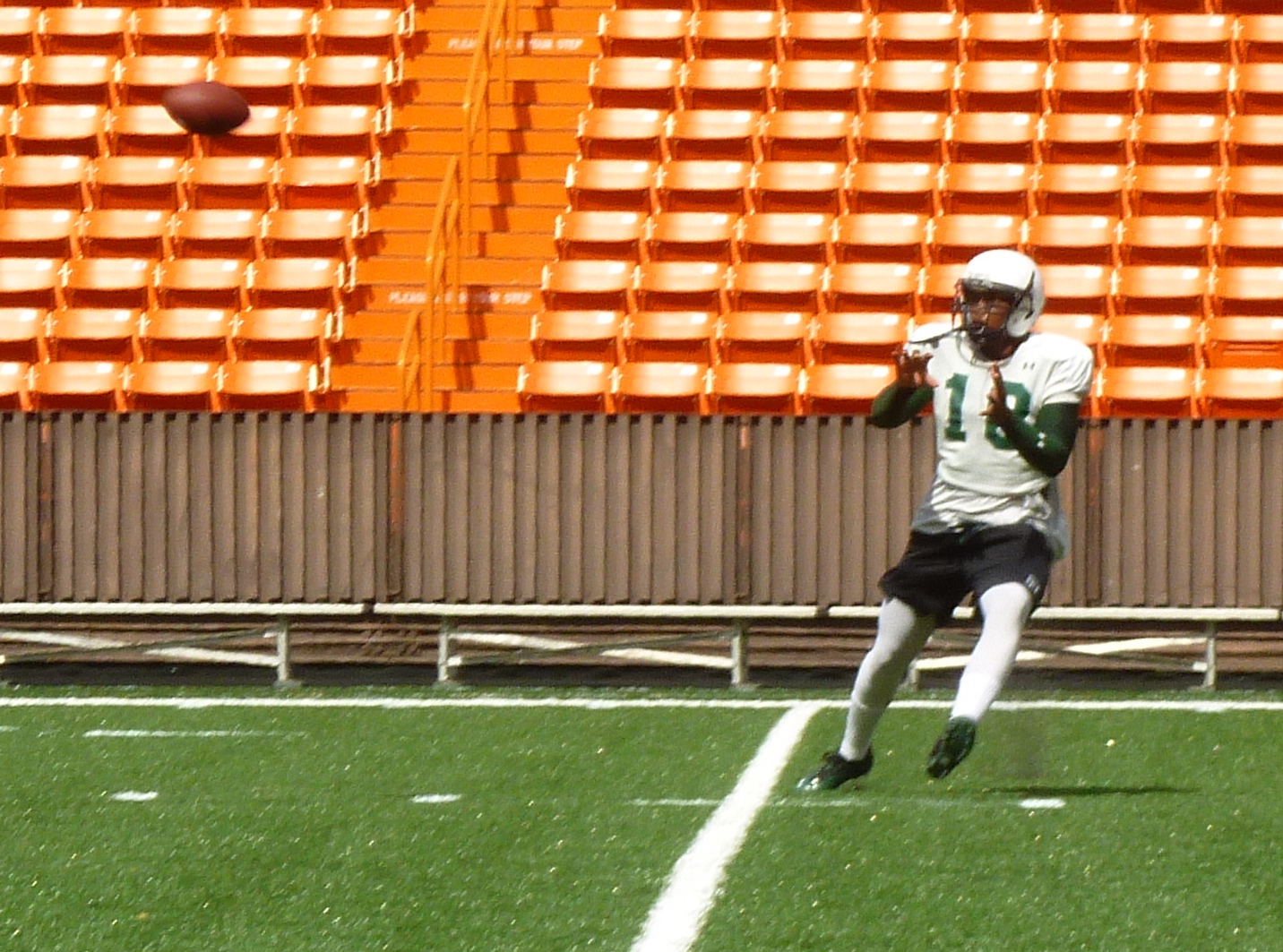 Taste of Aloha – Hawaii Warrior World