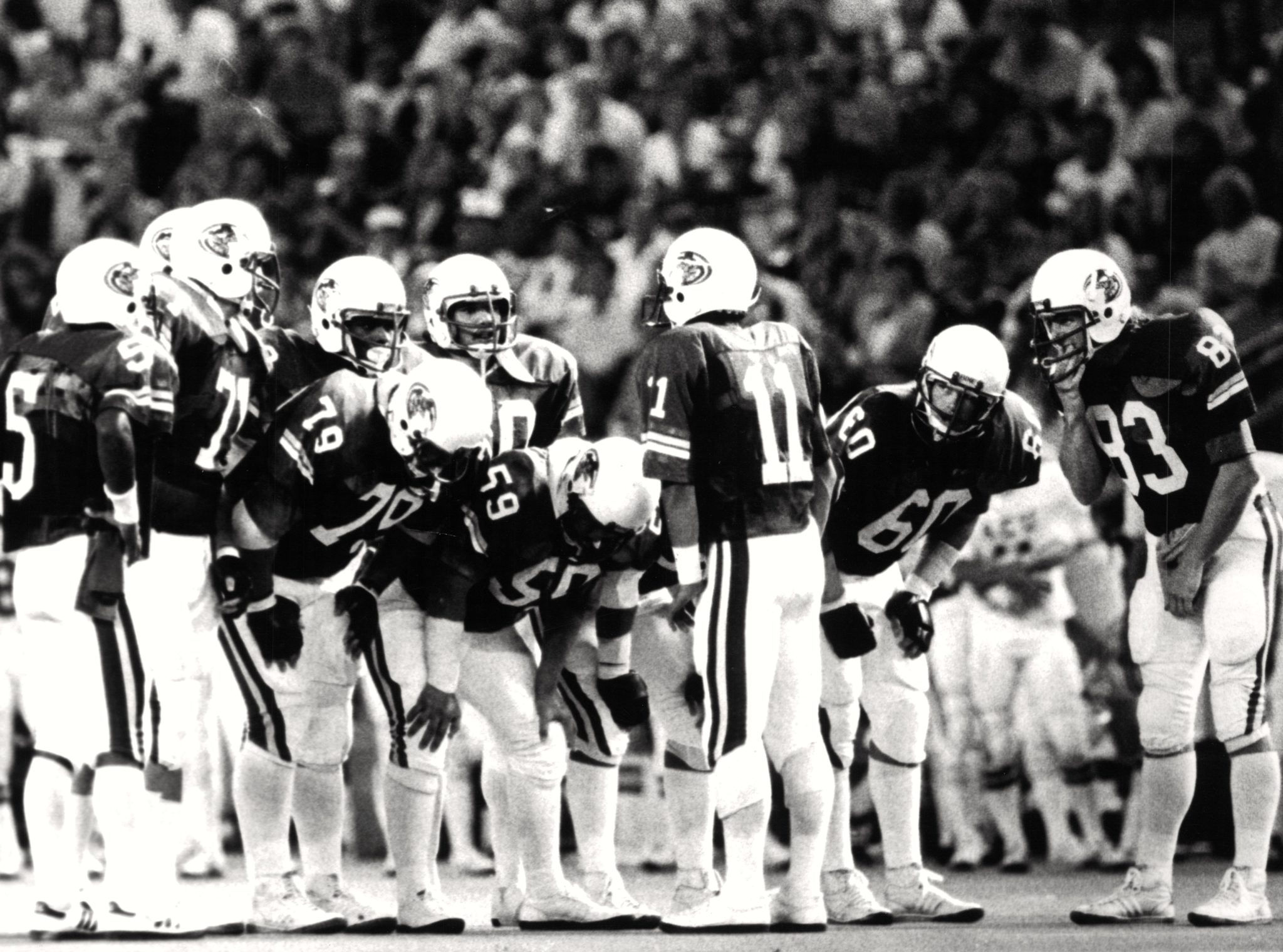 Football – Page 2 – Hawaii Warrior World