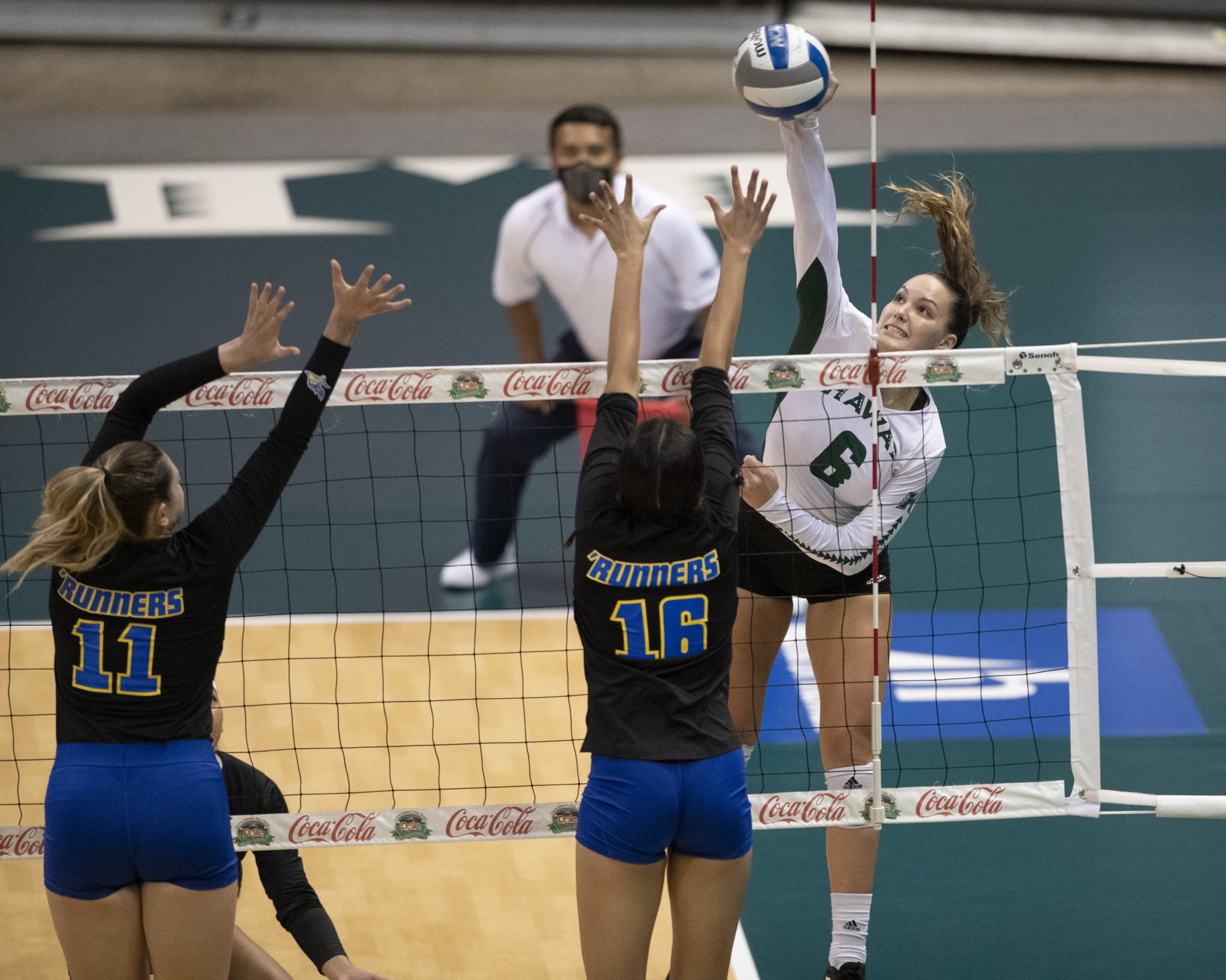 Rainbow Wahine, Gauchos meet for top spot in Big West – Hawaii Warrior ...